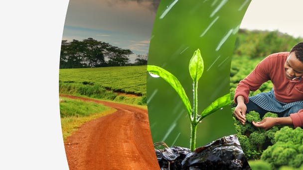 World Community Grid